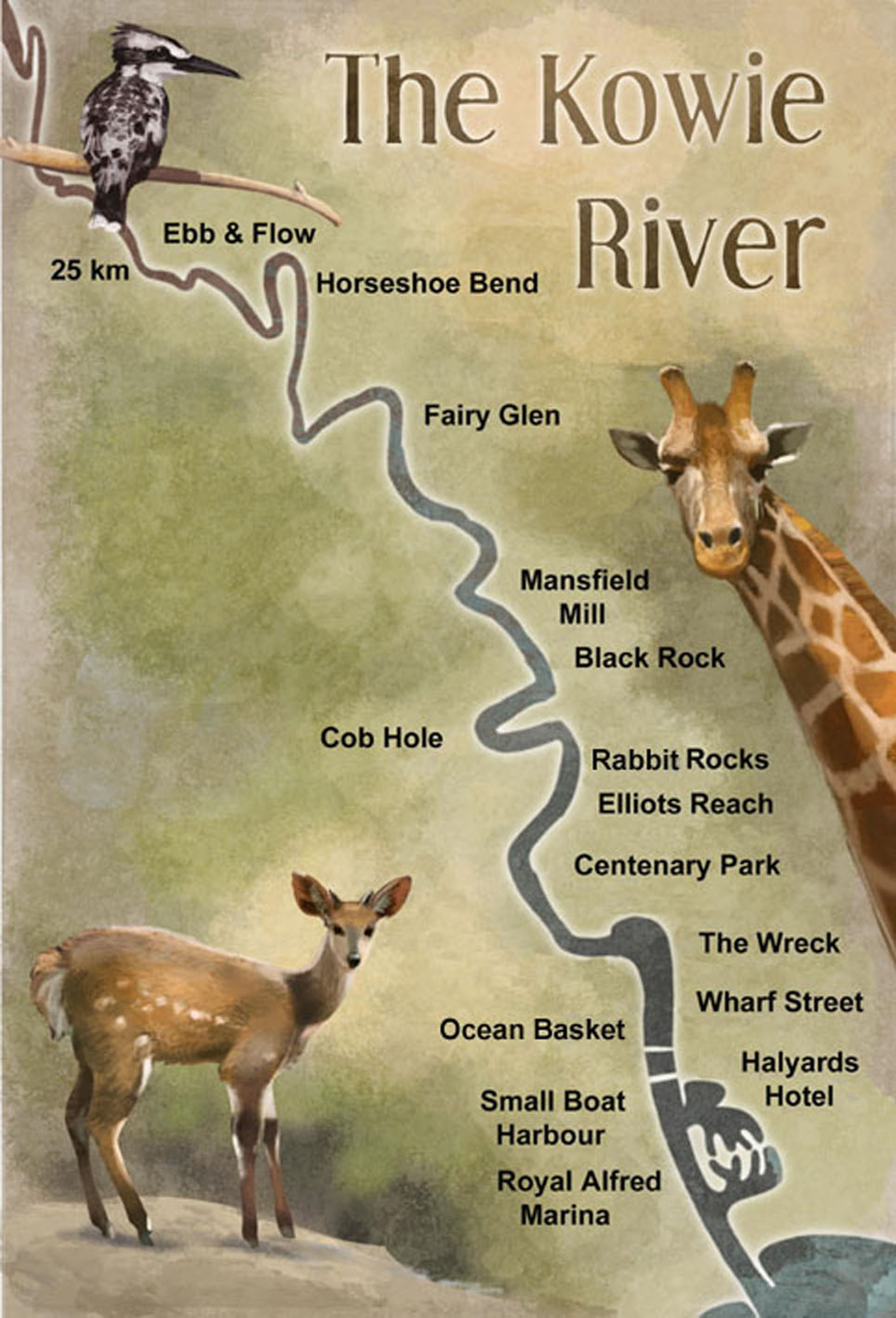 Kowie River, Port Alfred • Footeloose